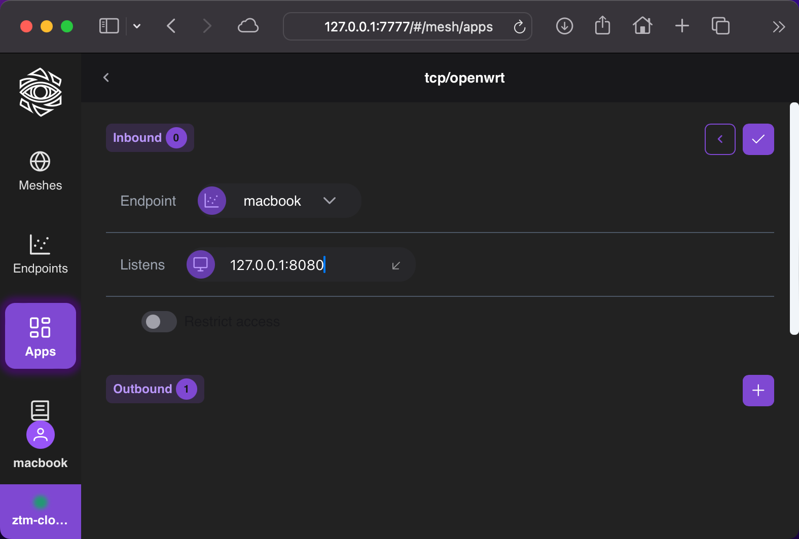 使用 ZTM 增强极空间 NAS 的远程访问能力